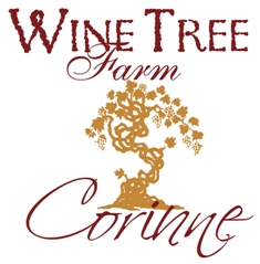 California Winery & Wine Shop in Amador City, CA by Wine Tree Farms