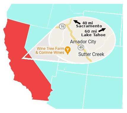 Our Story - Wine Tree Farm