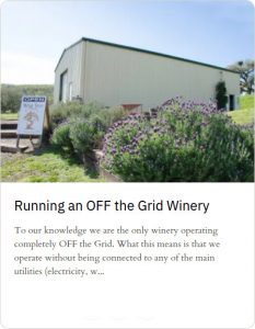 Home Page - Wine Tree Farm