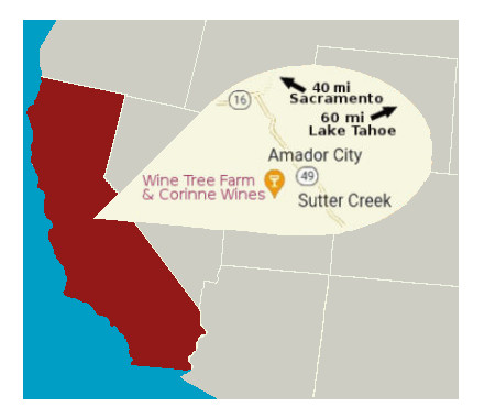 Home - Wine Tree Farm