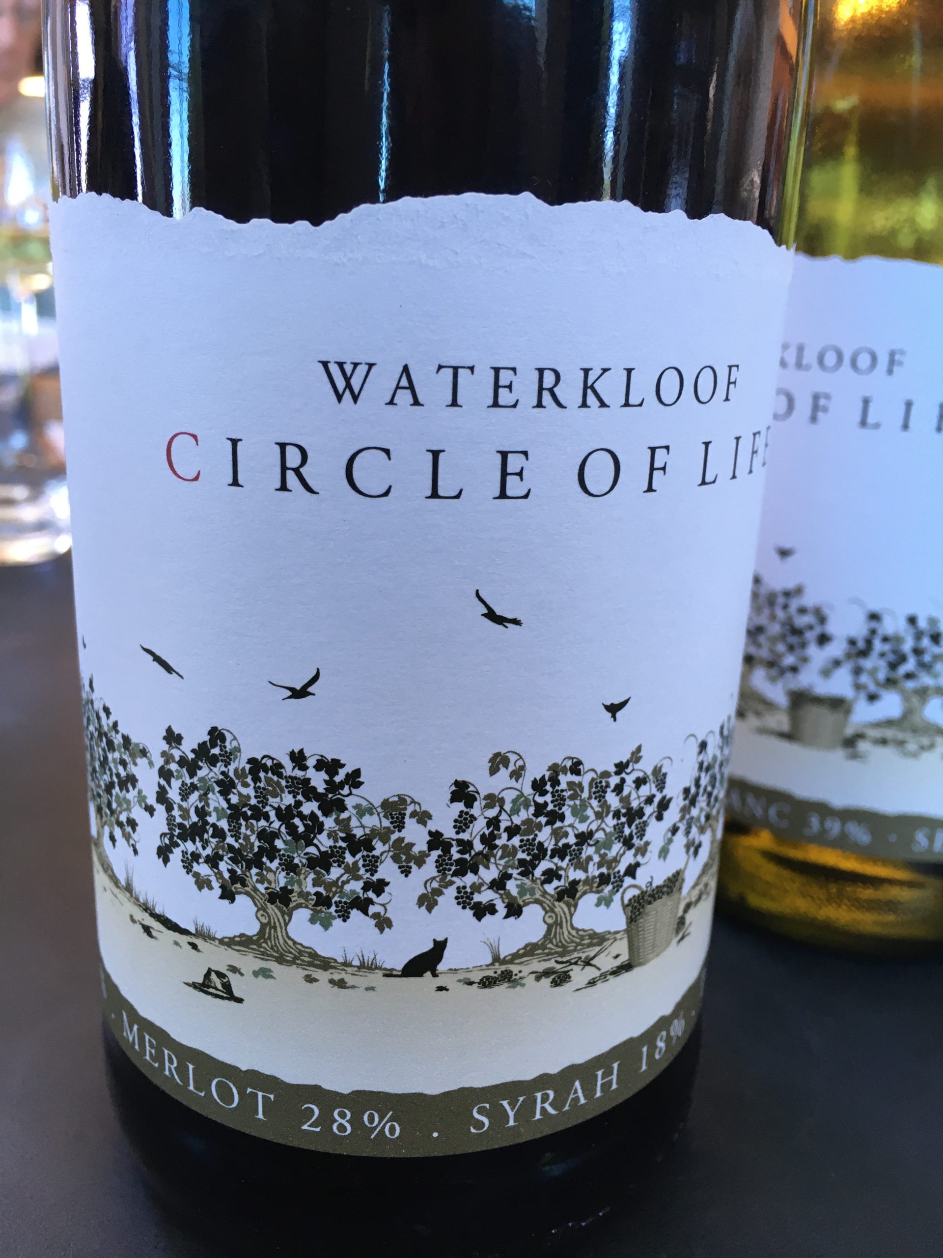 Last days in Cape Town - Wine Tree Farm